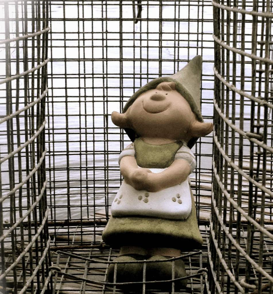 The Jester Leaves the Sin Bin — And Rewrites the Game | Serendipitor's ...